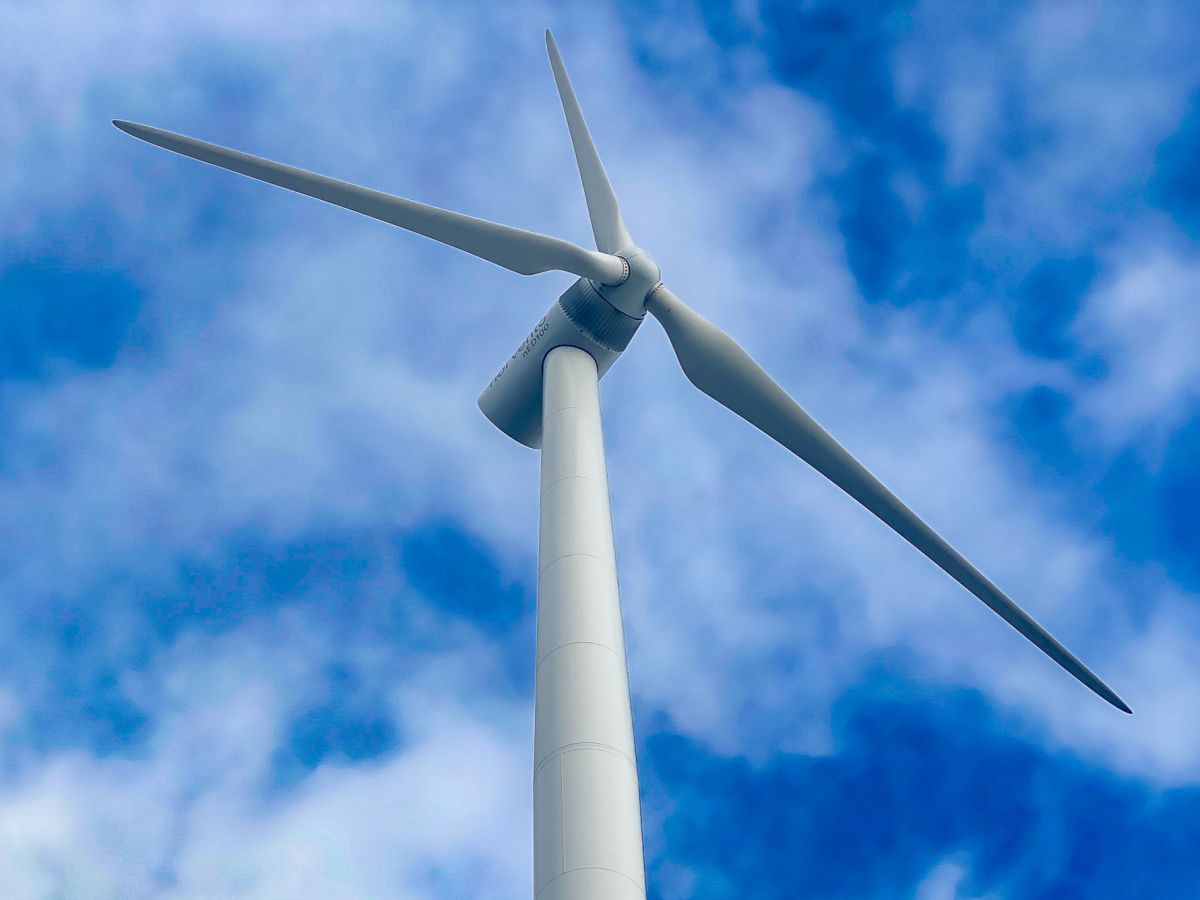 Eolienne nED 100 pour professionnels | DIWATT, Goven (35)